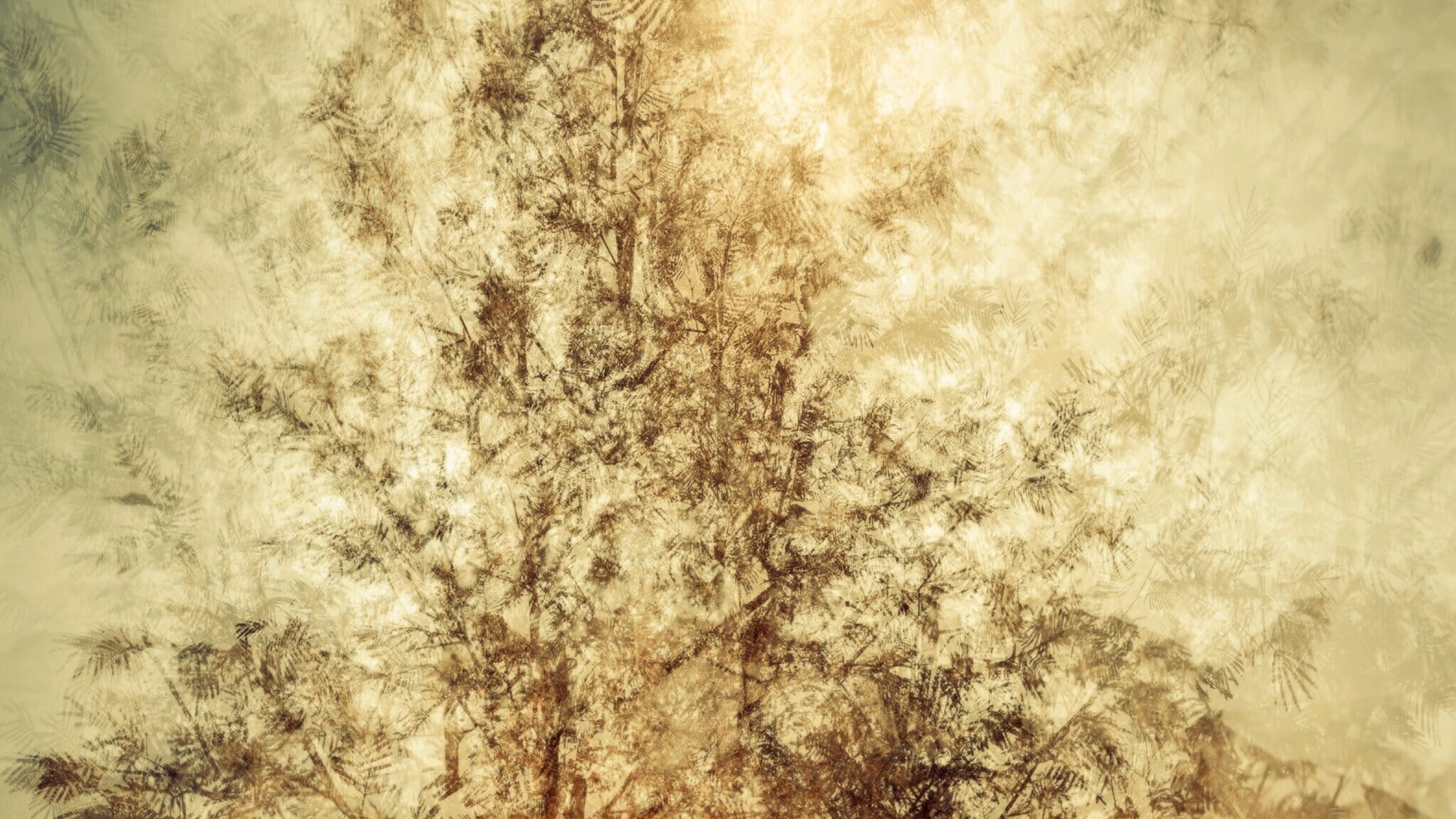 Abstract – Osner Art Gallery