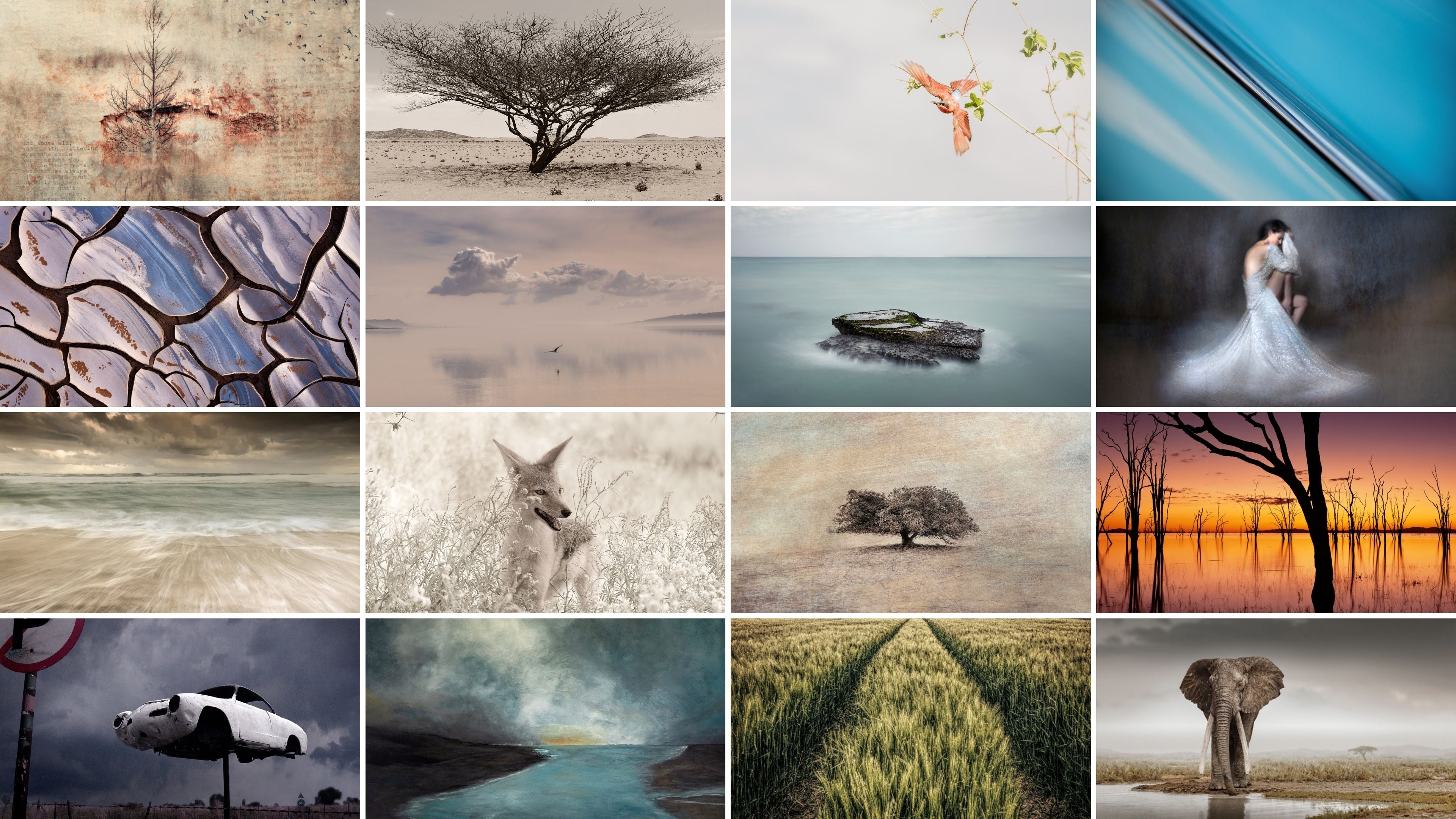 All Prints | Fine Art Photography & Limited Edition Artworks – Osner ...
