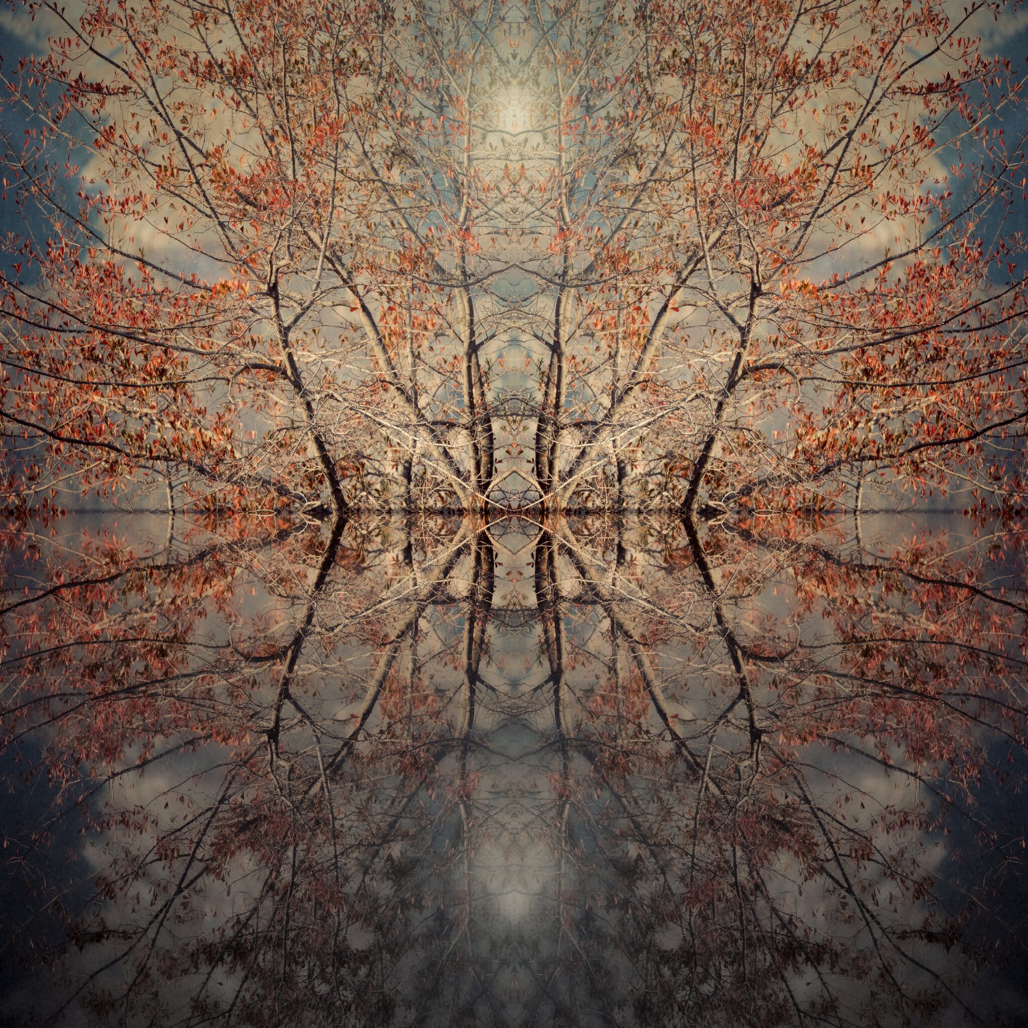 Mirror Island No.1 | Illusions of a Island – Osner Art Gallery