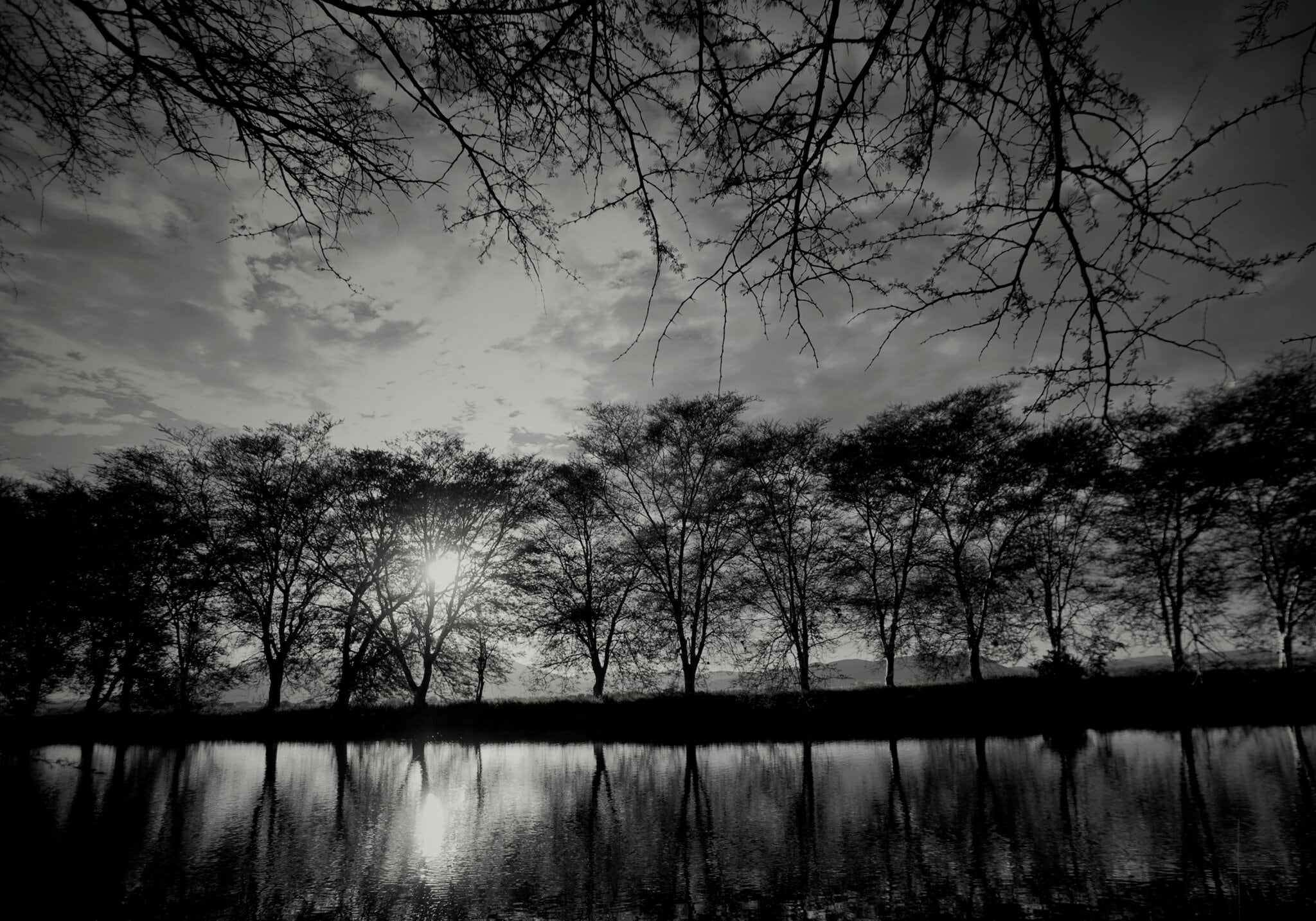 Ebony and Ivory - Moonlight | Black and white art photography – Osner ...